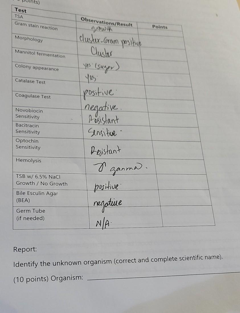 Solved Test TSA Gram stain reaction Observations/Result | Chegg.com