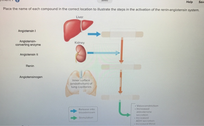 Solved Help Sav Place the name of each compound in the | Chegg.com