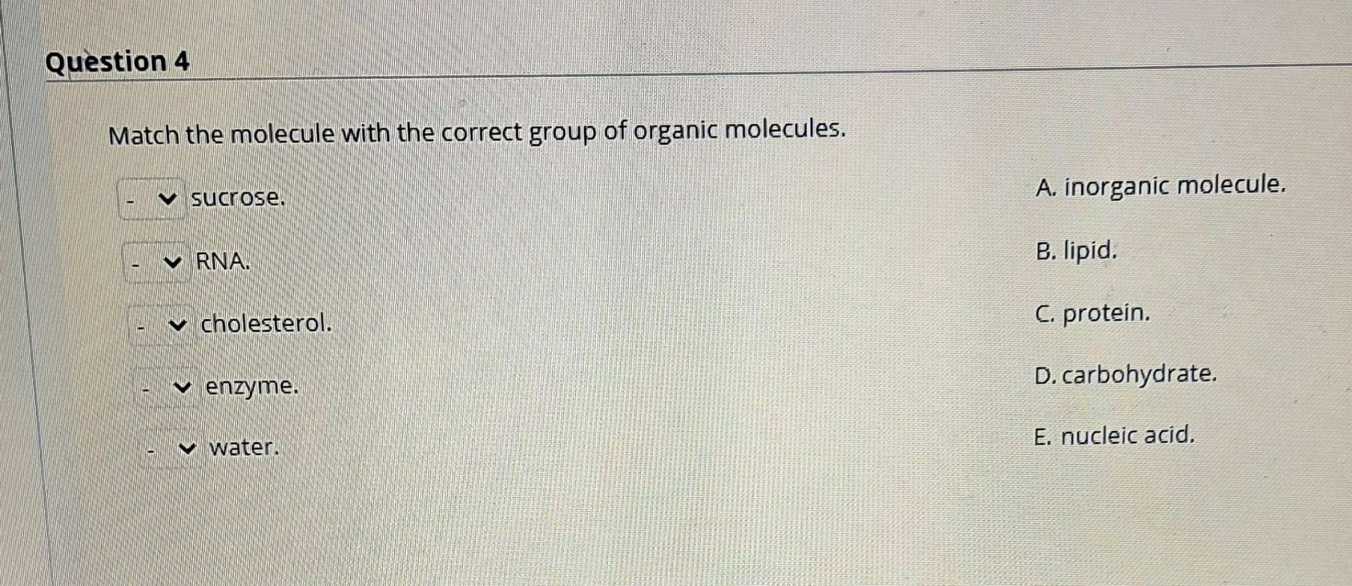 Solved Question 4 Match the molecule with the correct group | Chegg.com