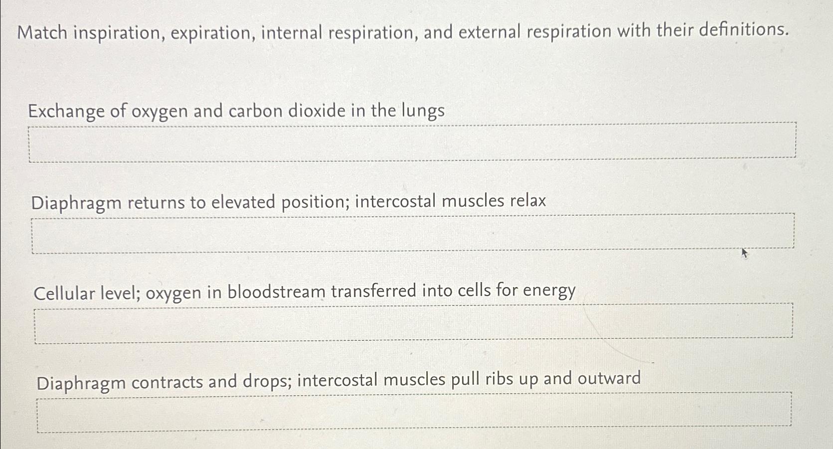 Solved Match inspiration, expiration, internal respiration, | Chegg.com