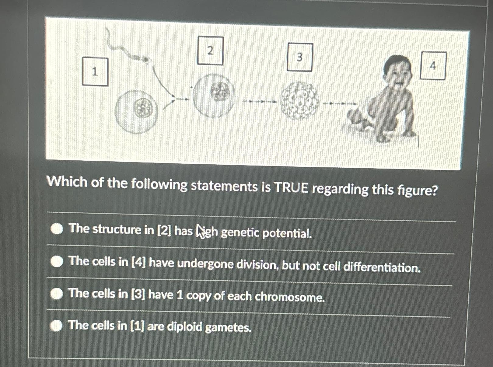 Solved Which of the following statements is TRUE regarding | Chegg.com