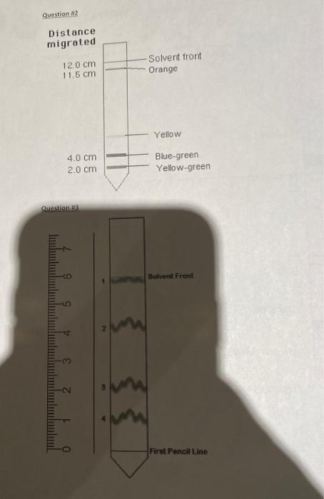 Solved - Calculate the Rf values for each pigment that was | Chegg.com