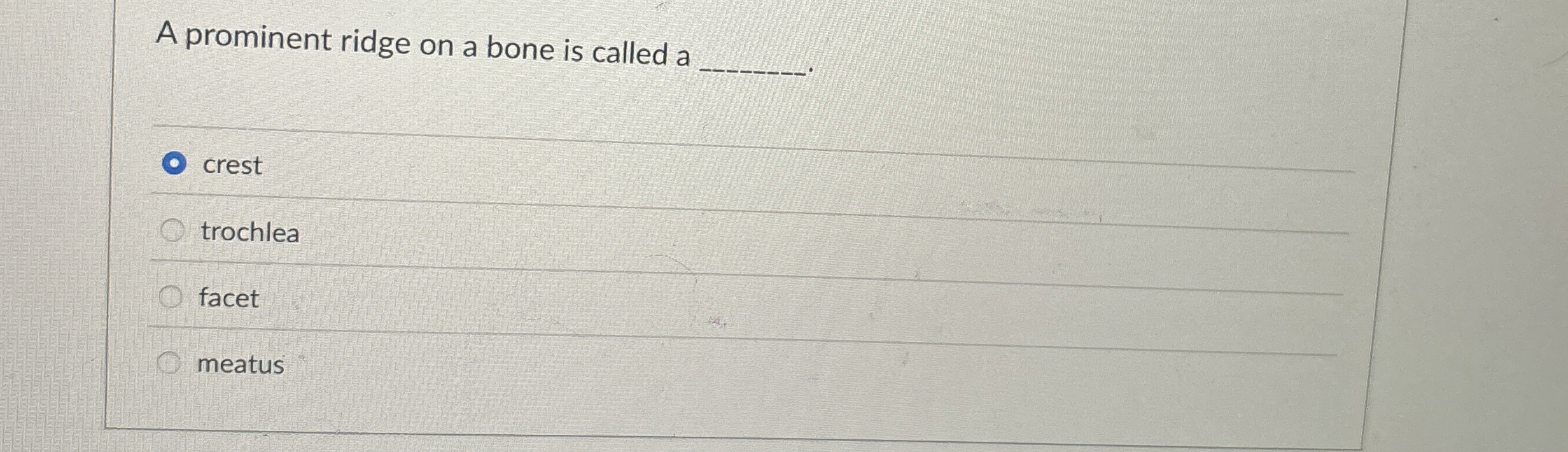 Solved A prominent ridge on a bone is called | Chegg.com