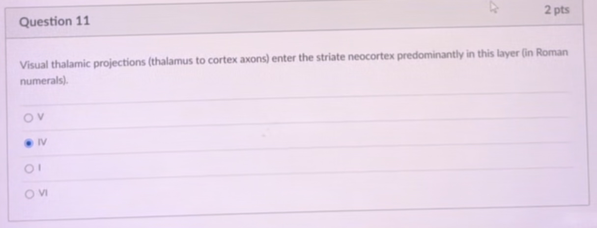 Solved Visual thalamic projections (thalamus to cortex | Chegg.com