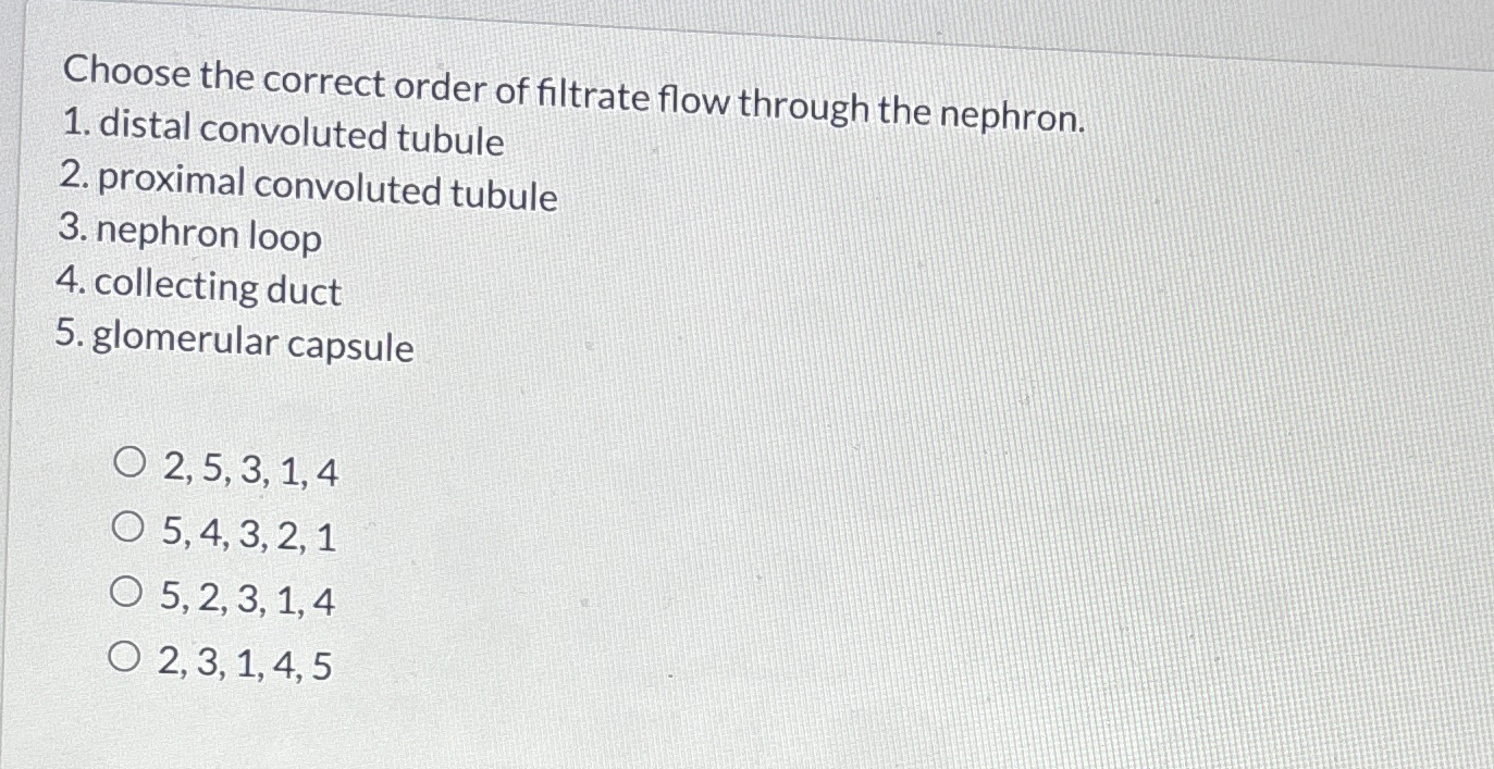 Solved Choose the correct order of filtrate flow through the | Chegg.com