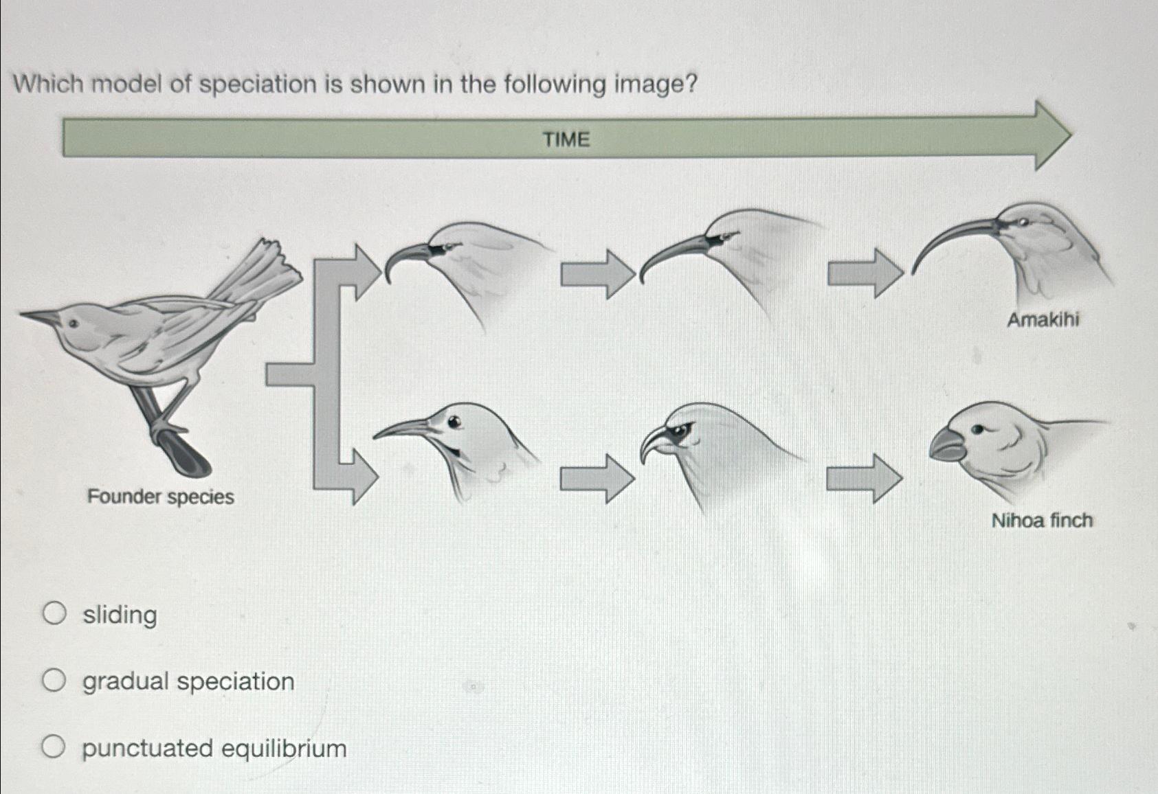 Solved Which model of speciation is shown in the following | Chegg.com