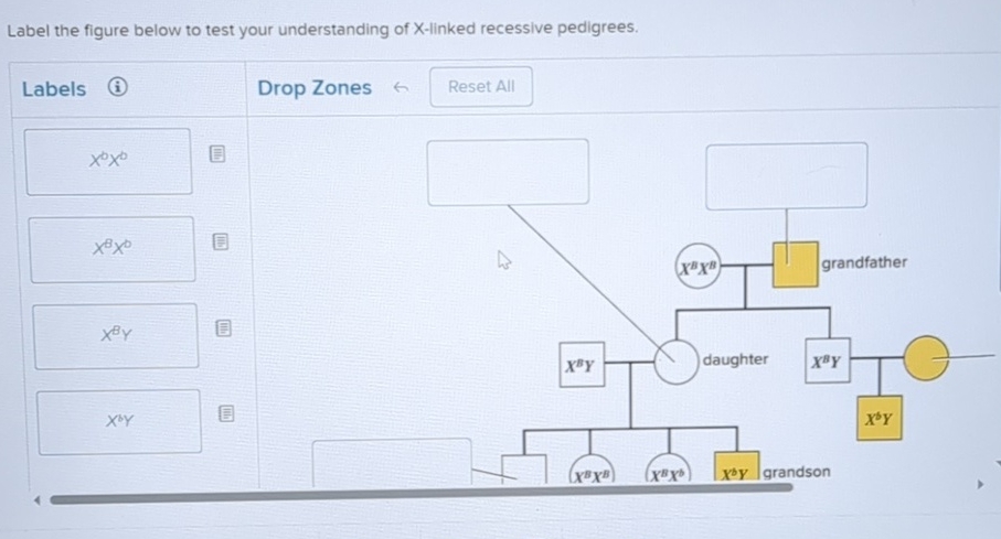 Solved Label the figure below to test your understanding of | Chegg.com