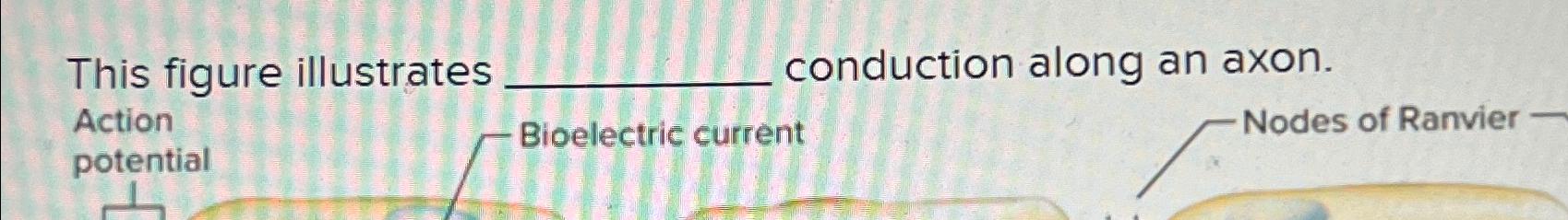 Solved This figure illustrates conduction along an axon. | Chegg.com