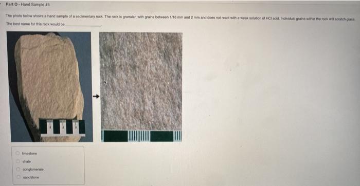 Solved The photo below shows a hand sample of a sedimentary | Chegg.com