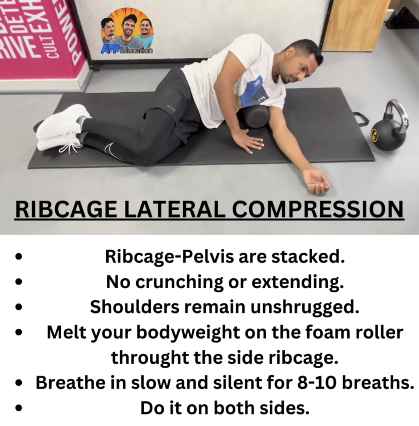 Solved The picture below shows an exercise of ribcage | Chegg.com