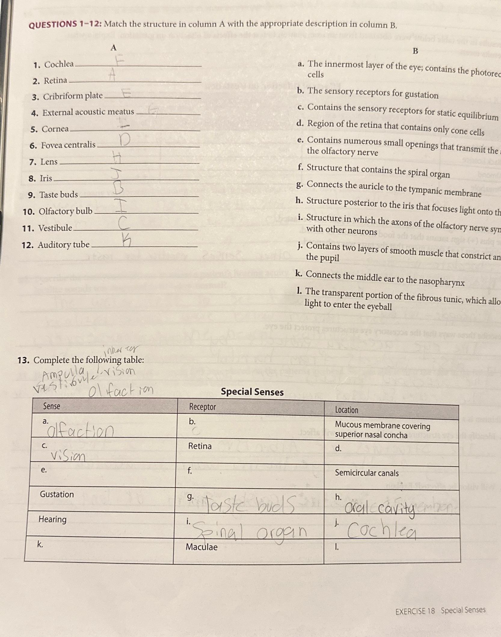 Solved QUESTIONS 1-12: Match the structure in column A with | Chegg.com Solved QUESTIONS 1-12: Match the structure in column A with | Chegg.com