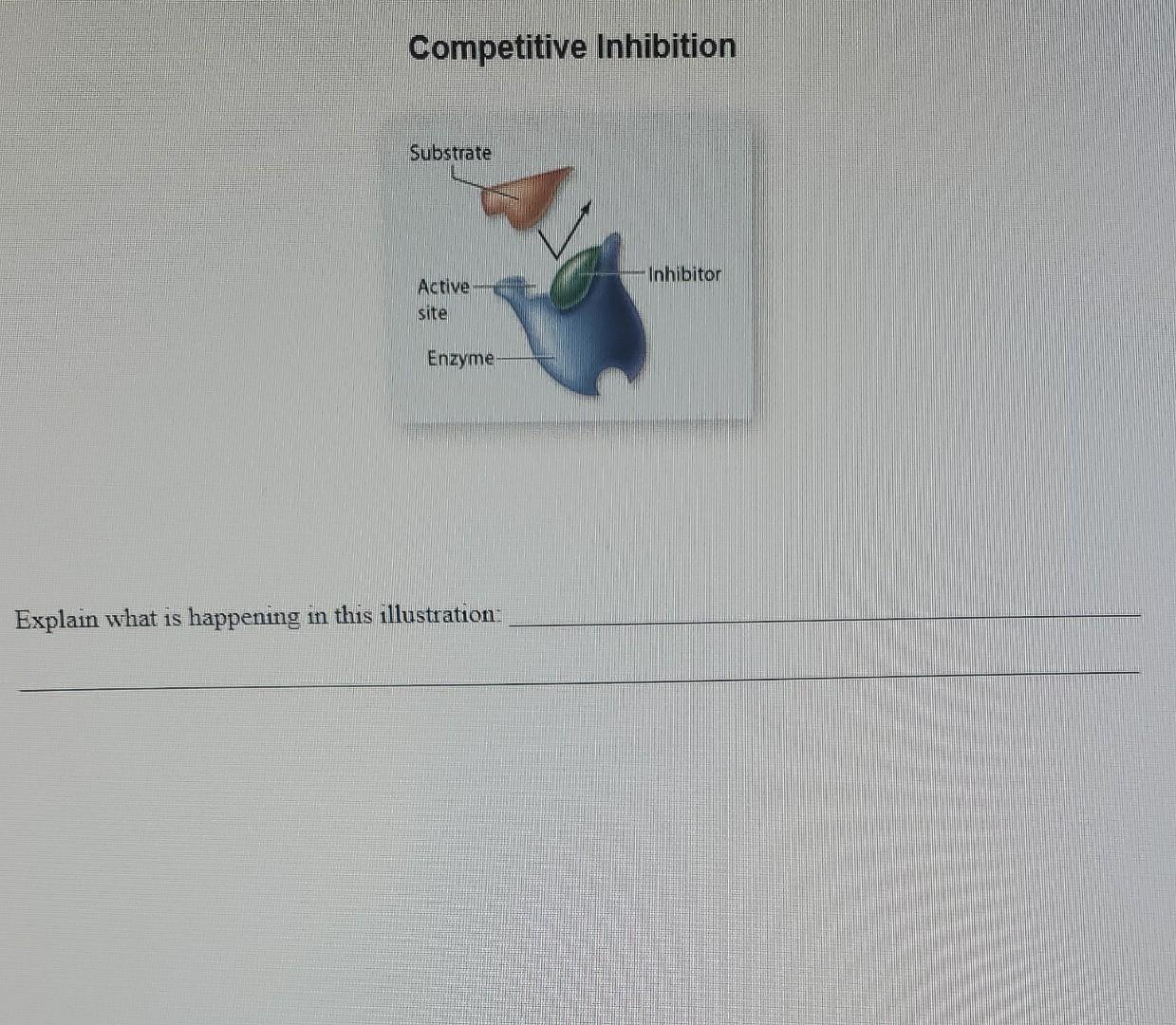 Solved Competitive Inhibition Explain what is happening in | Chegg.com