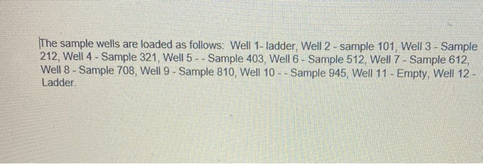 1 2 3 4 5 6 7 8 9 10 11 12 וות The sample wells are | Chegg.com