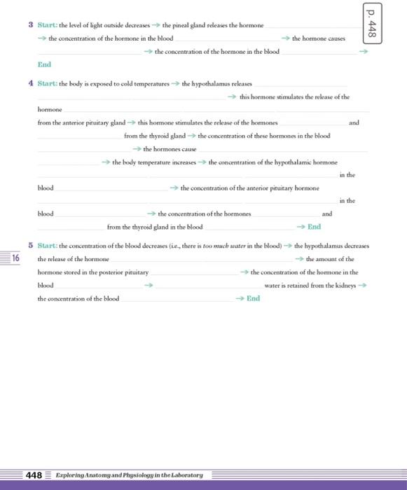 Solved Time to Trace! Negative Feedback Loops Hommone | Chegg.com
