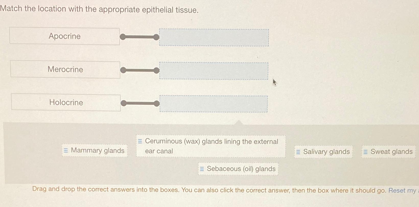 Solved Match the location with the appropriate epithelial | Chegg.com