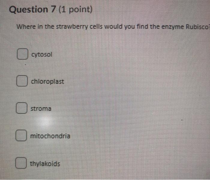 Solved Question 7 (1 point) Where in the strawberry cells | Chegg.com