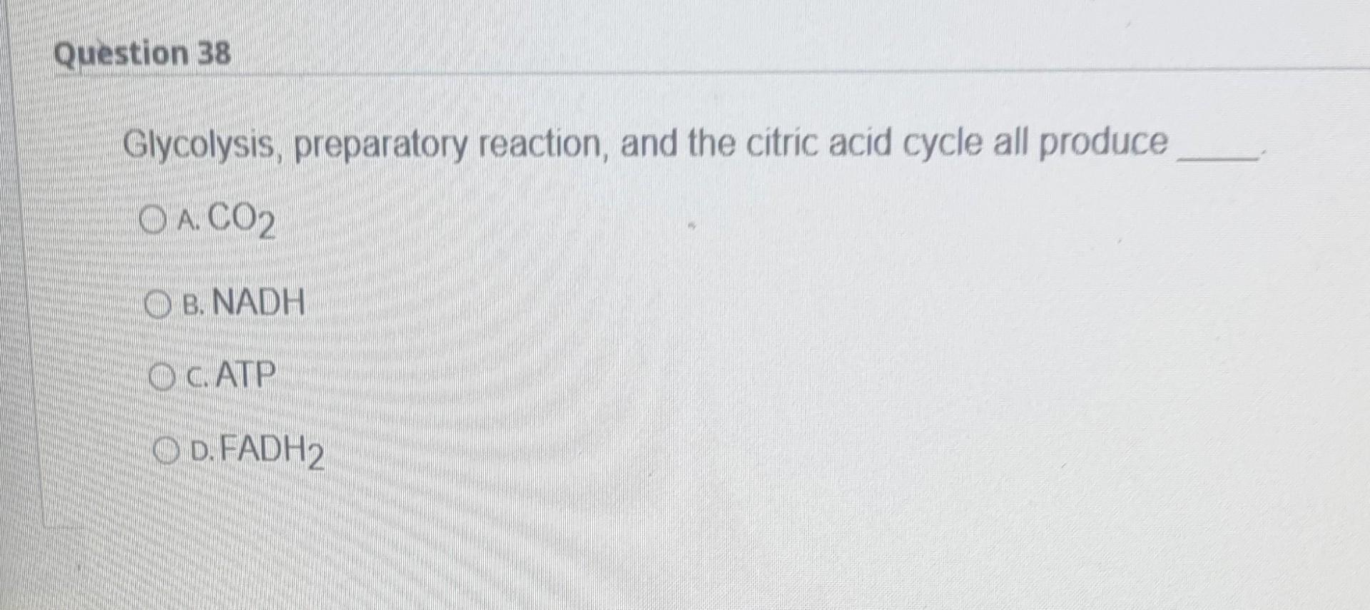 Solved Question 38 Glycolysis, preparatory reaction, and the | Chegg.com