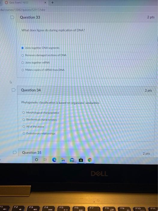 Solved Qurfama 1022 du/courses/13012/ques 52917/ske Question | Chegg.com