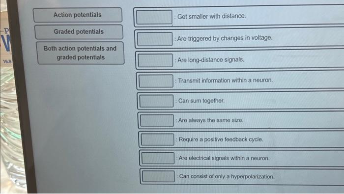 Solved Action potentials : Get smaller with distance. Graded | Chegg.com