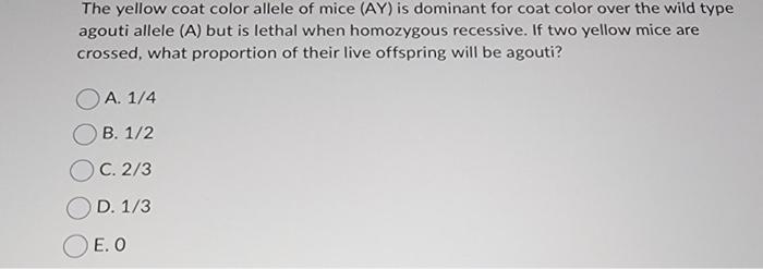 Solved The yellow coat color allele of mice (AY) is dominant | Chegg.com