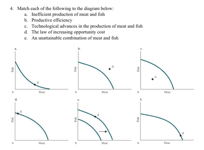 Solved 4. Match each of the following to the diagram below | Chegg.com