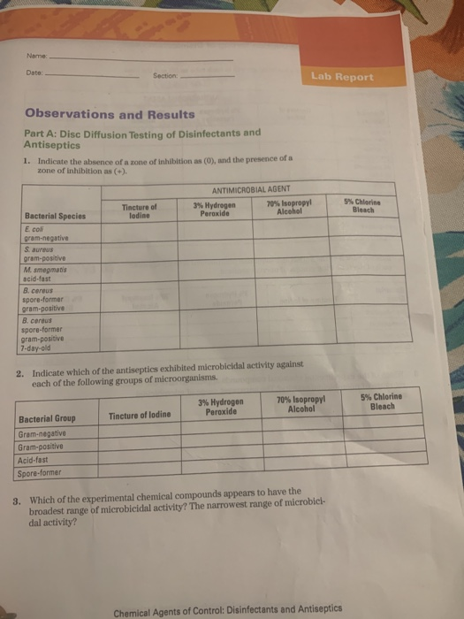 Name: Date: Section Lab Report Observations and | Chegg.com