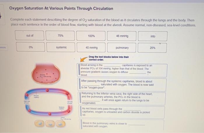 Solved Oxygen Saturation At Various Points Through | Chegg.com