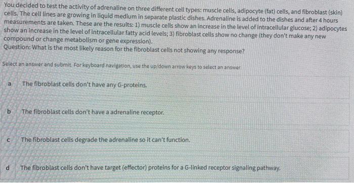 Solved You decided to test the activity of adrenaline on | Chegg.com