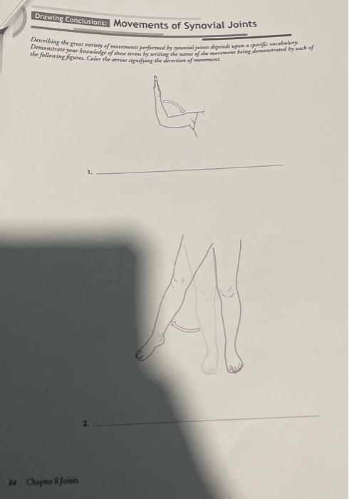 Solved Drawing Conclusions: Movements of Synovial Joints | Chegg.com