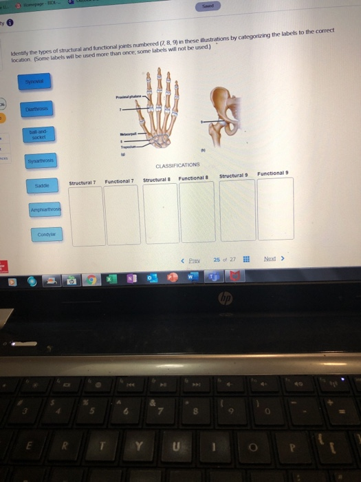 Solved Homepage-BOL e Saved hy Identify the types of | Chegg.com