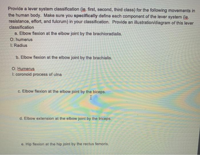 Solved Provide a lever system classification (ie, first, | Chegg.com