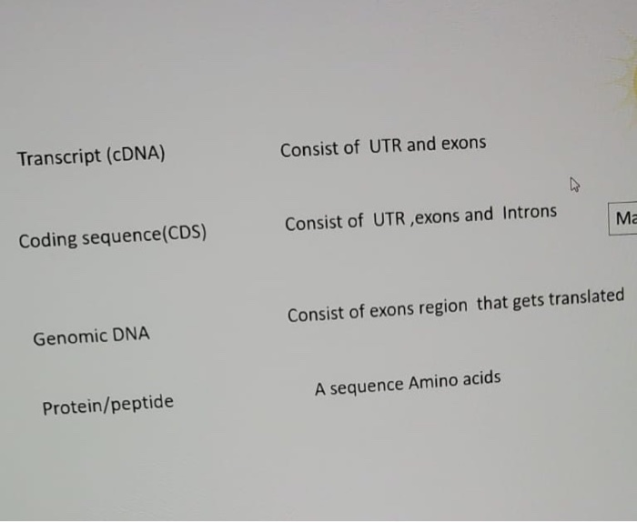 Solved Transcript (cDNA) Consist of UTR and exons Consist of | Chegg.com