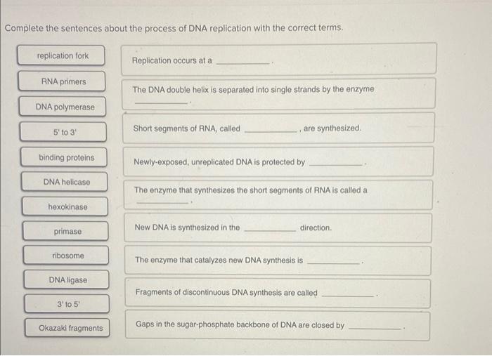 Complete the sentences about the process of DNA | Chegg.com