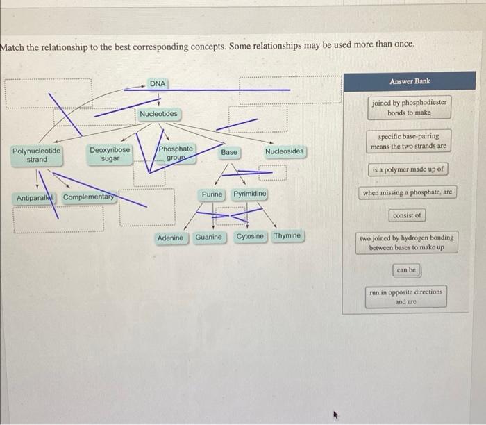 Solved Match the relationship to the best corresponding | Chegg.com