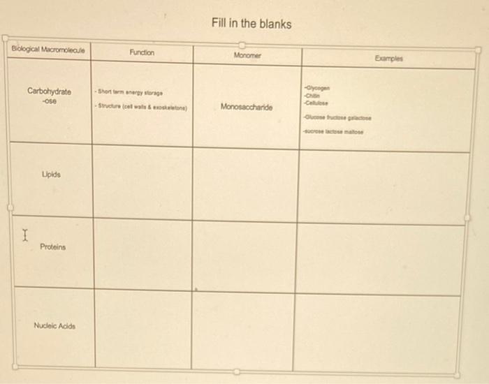 Solved Fill in the blanks | Chegg.com
