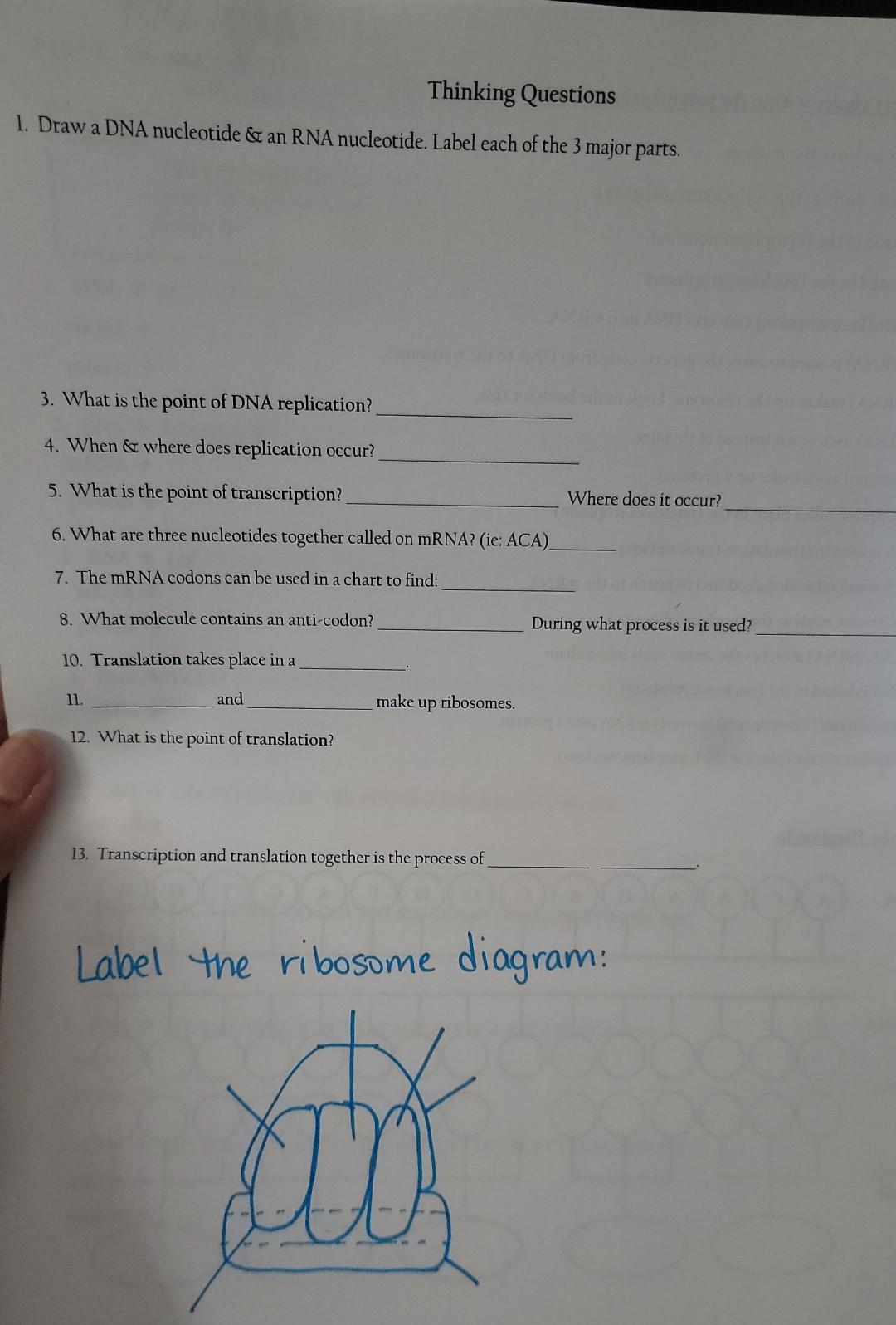 Solved PART A. Read the following: Protein synthesis is the | Chegg.com
