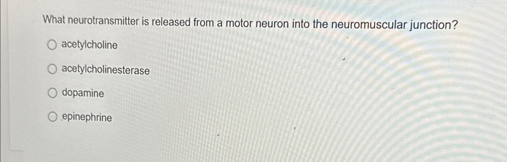 Solved What neurotransmitter is released from a motor neuron | Chegg.com