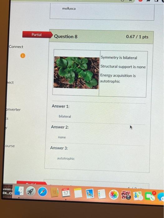 Solved Answer 1: radial Answer 2: exoskeleton Answer 3 : | Chegg.com