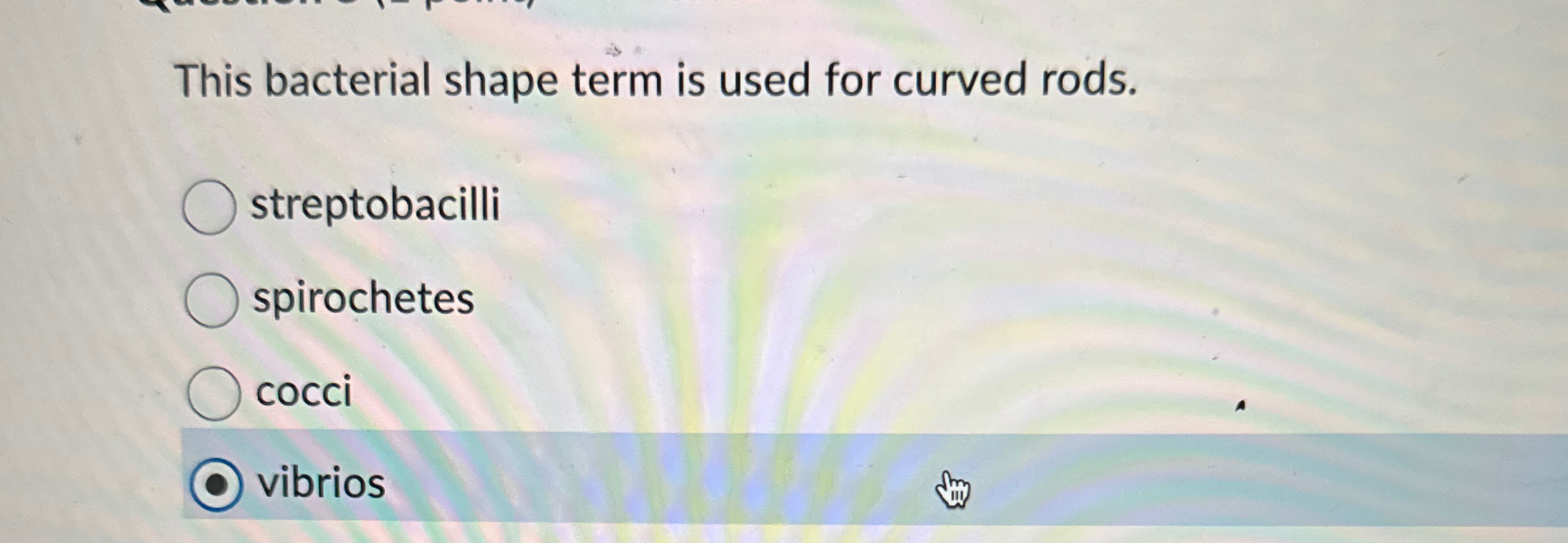 This bacterial shape term is used for curved | Chegg.com