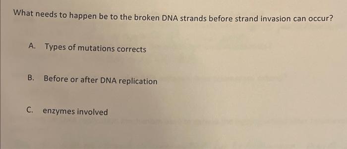 Solved What needs to happen be to the broken DNA strands | Chegg.com