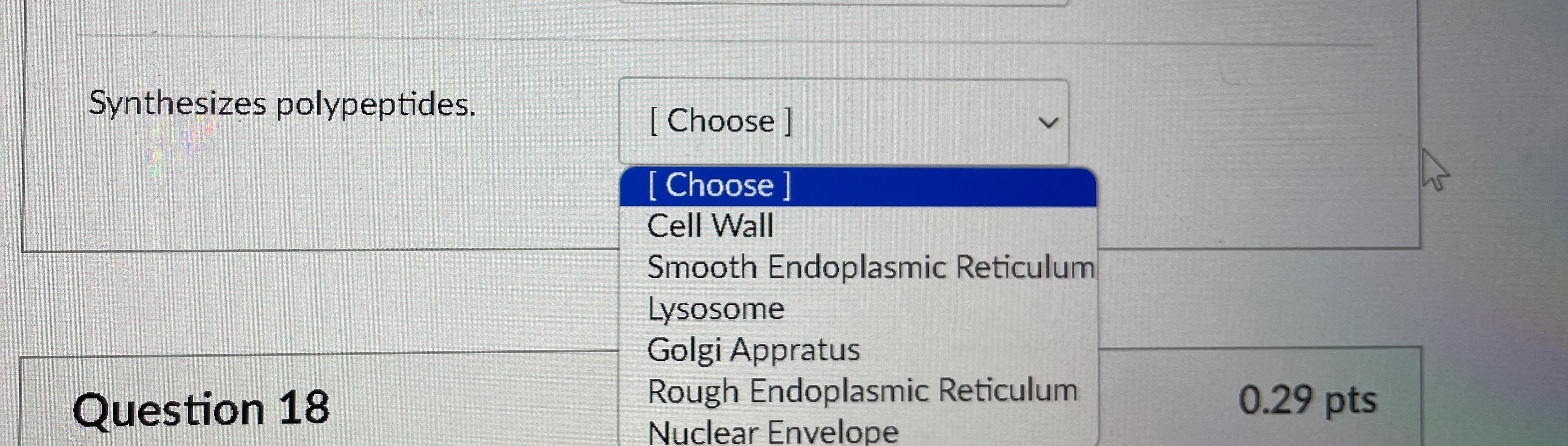 Solved Synthesizes polypeptides.[Choose ][ ﻿Choose ] ﻿Cell | Chegg.com