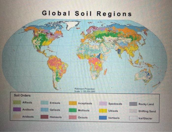 Solved Soil Horizon LabelingGlobal Soil RegionsAndisols, | Chegg.com