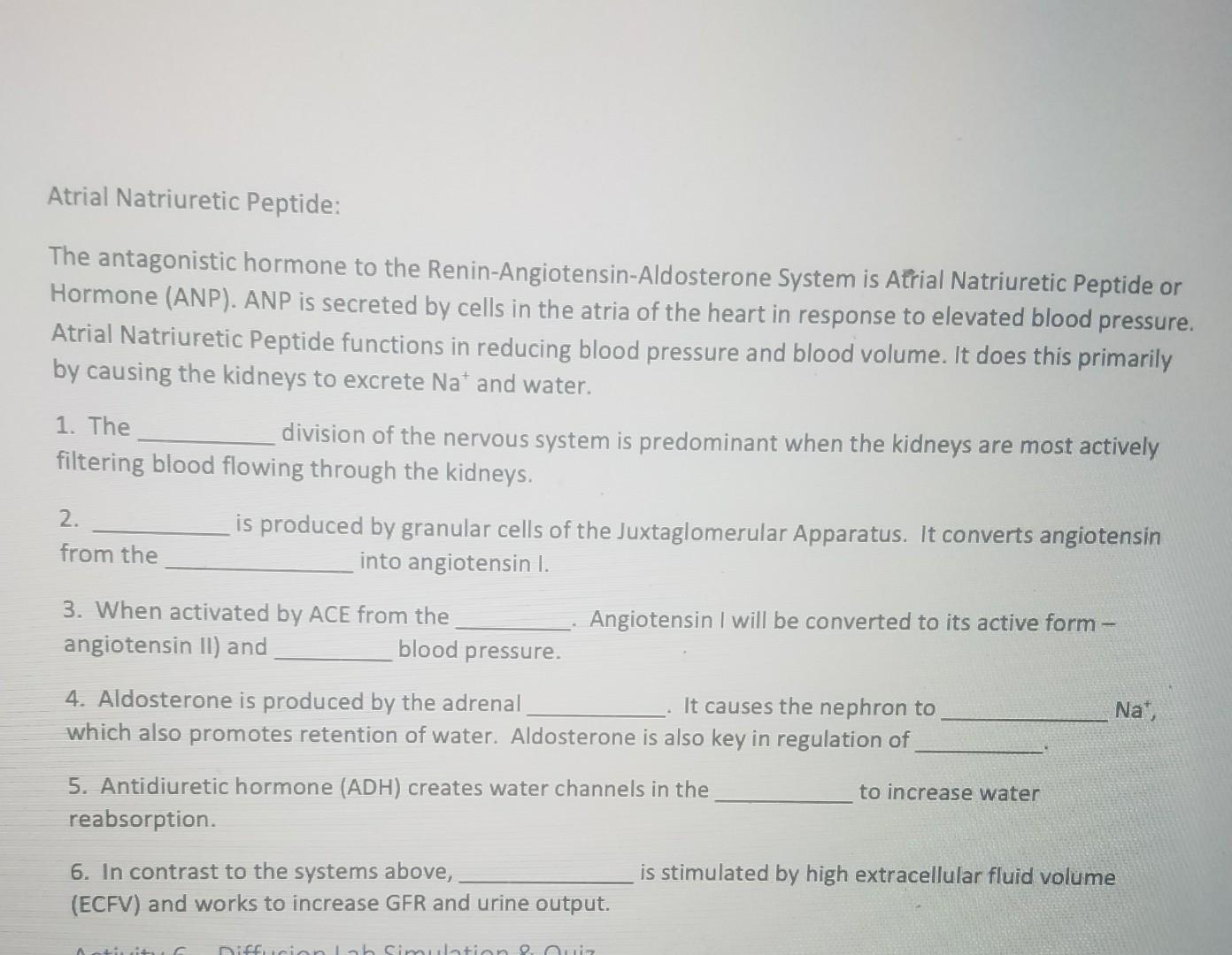 Solved Activity 5 - Regulation of the Urinary System Review | Chegg.com