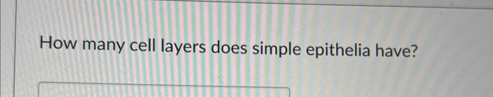 Solved How many cell layers does simple epithelia have? | Chegg.com
