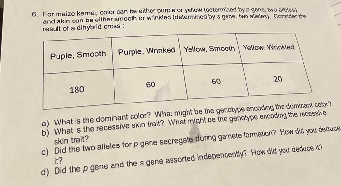 Solved 6. For maize kernel, color can be either purple or | Chegg.com