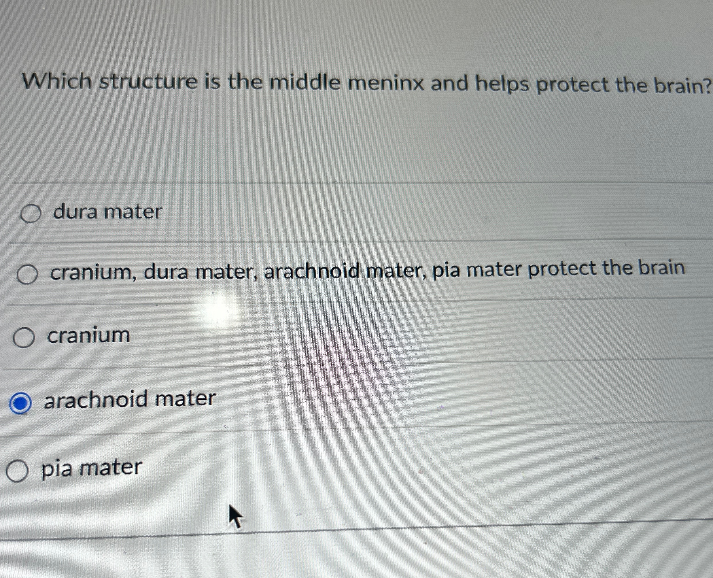 Solved Which structure is the middle meninx and helps | Chegg.com