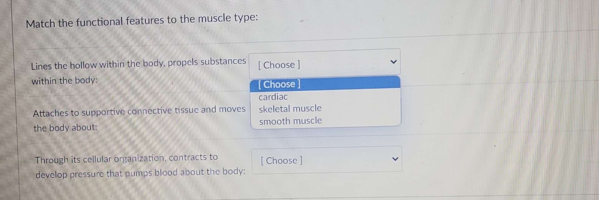 Solved Match the functional features to the muscle | Chegg.com