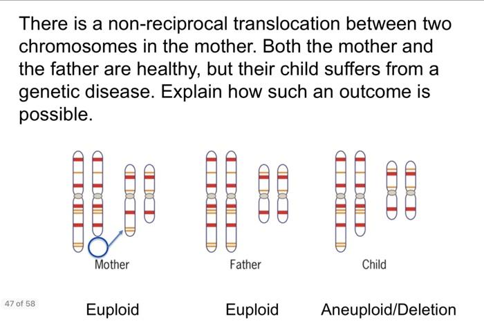Solved There is a non-reciprocal translocation between two | Chegg.com