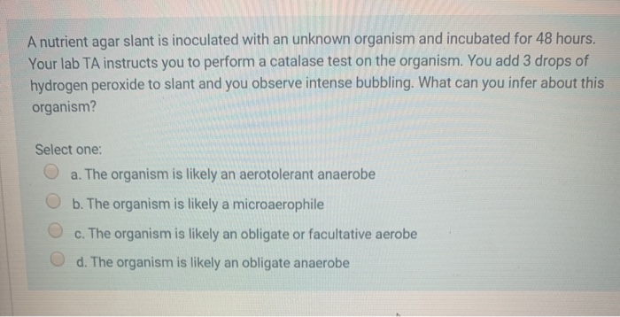 Solved A nutrient agar slant is inoculated with an unknown | Chegg.com