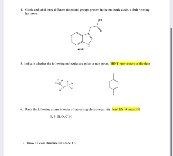 Solved 4. Circle and label three different functional groups | Chegg.com